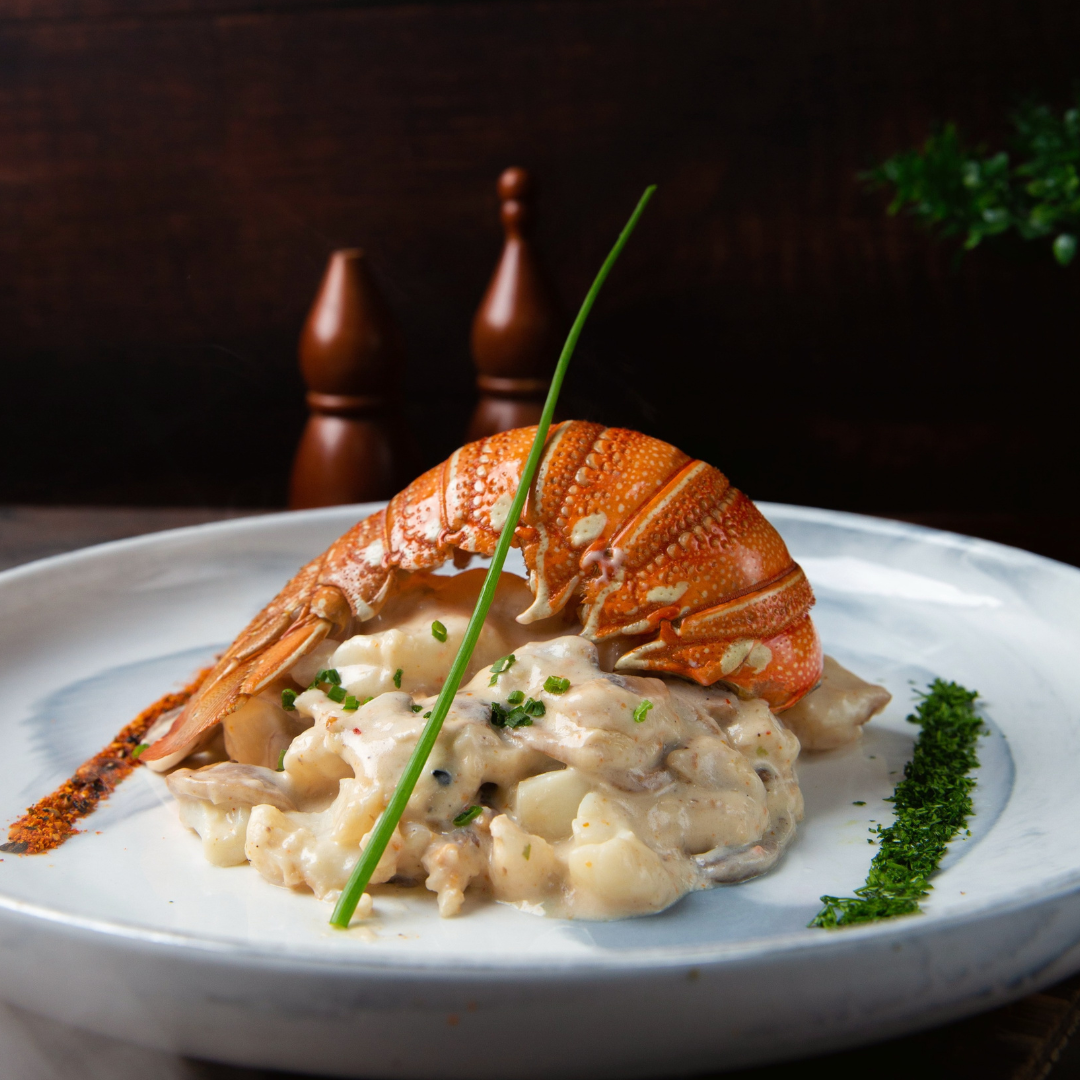 Oishi | Japanese Fusion